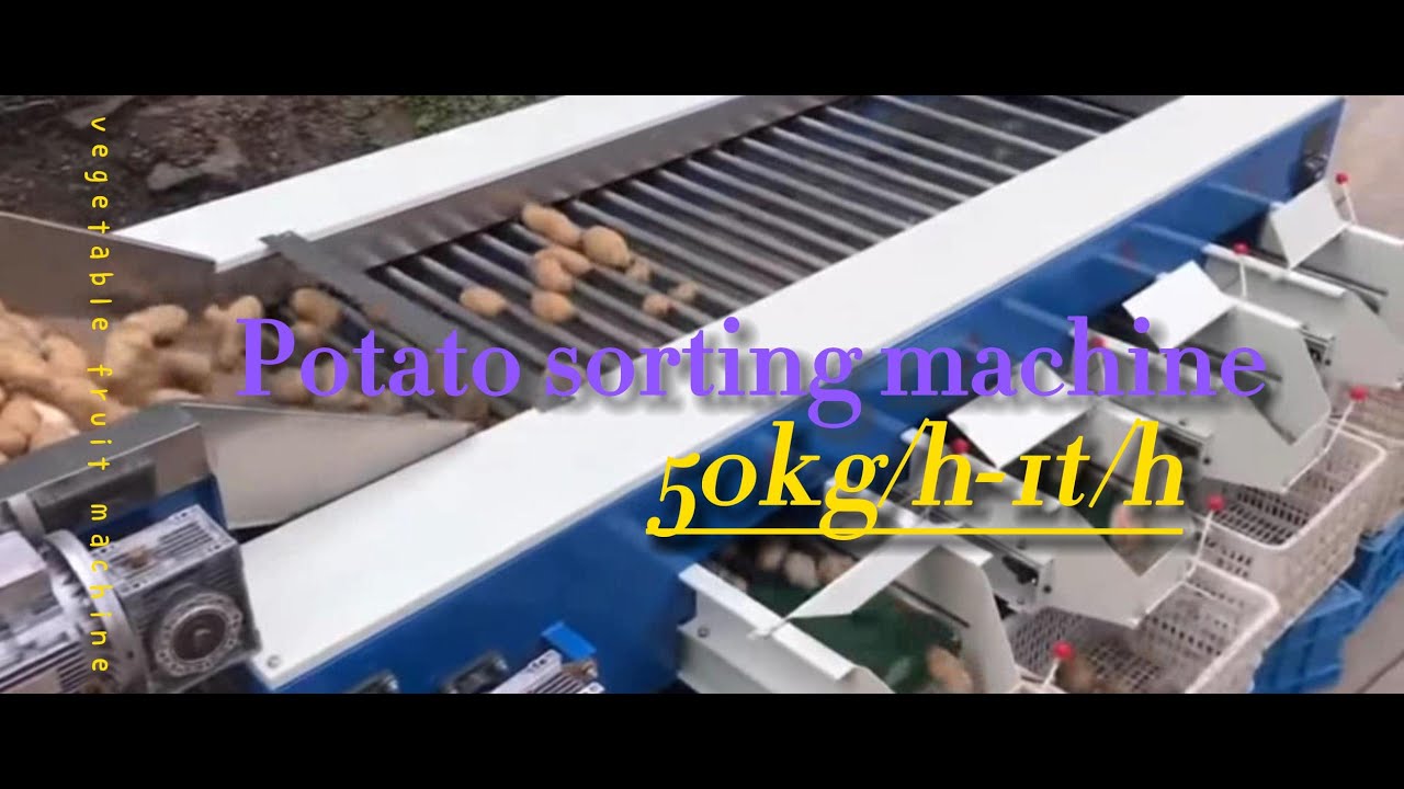 potato grader price |potato sorting machine|potato grading machine ...