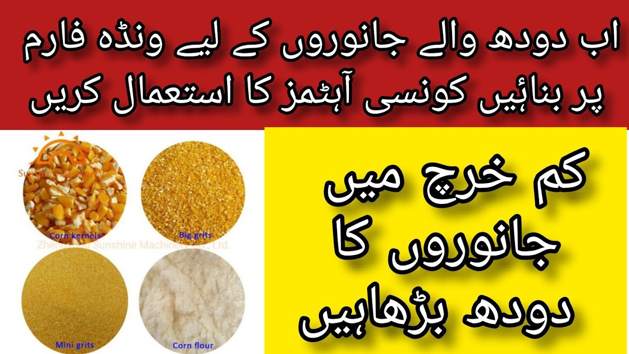 Wanda formulation || wanda ingredients || Cheap feed formulation 2024 ...