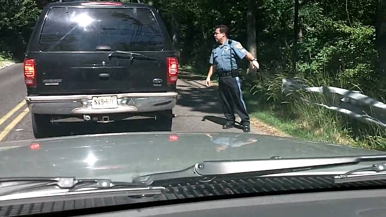 BABY GEESE GET POLICE ESCORT - YouTube