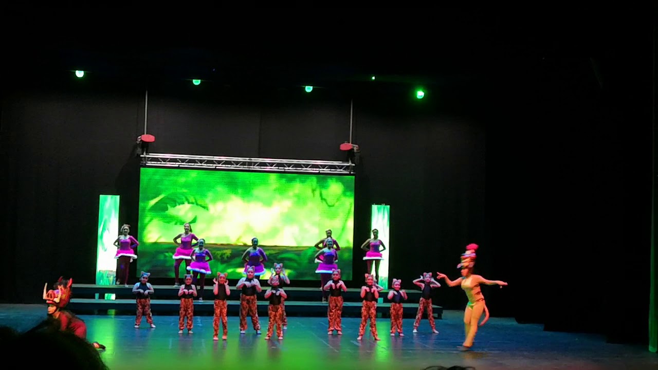 Dizzy Dance Show 4 - YouTube