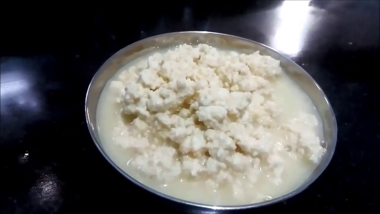 How to cook colostrum milk | Buffalo mozzarella | Desi kheese | Healthy ...