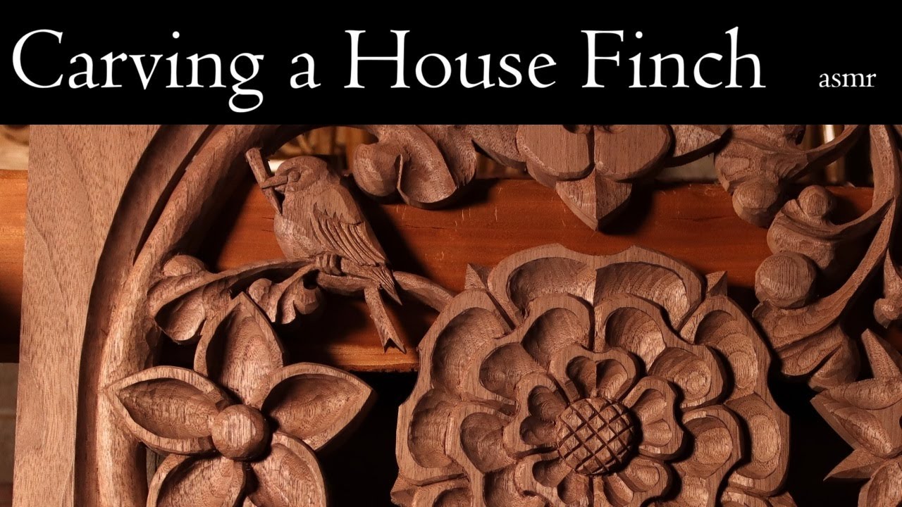 Carving a House Finch – Full Length ASMR Tutorial - YouTube