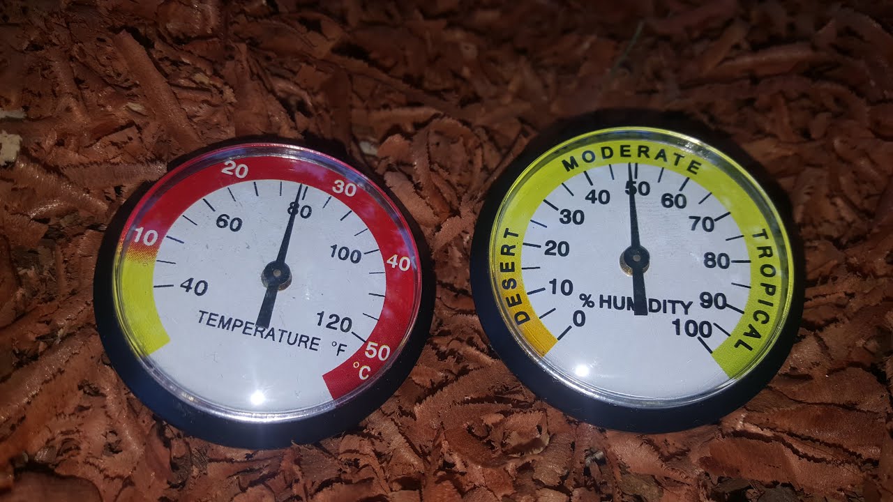 First impression of Imagitarum Climate Catcher reptile temperature and ...