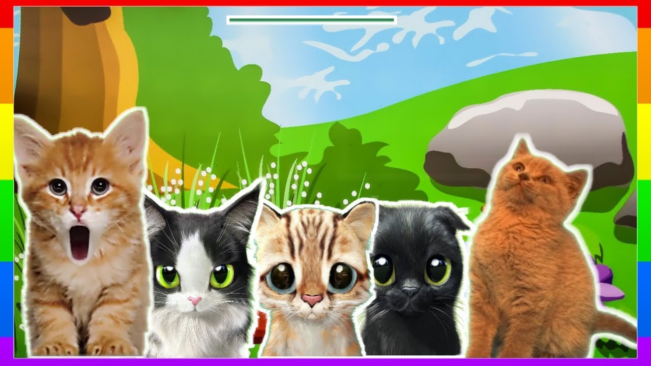 CUTE CAT & KITTEN MIAW MIAW | FUNNY CAT SING AND DANCE - YouTube