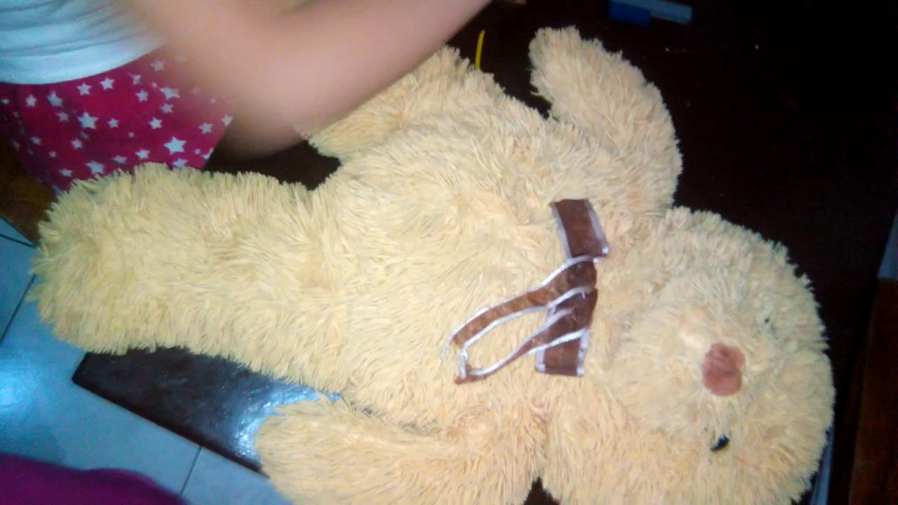 Teddy's operation day - YouTube