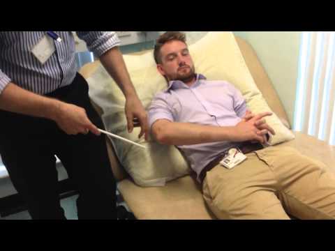 The Tendon Reflexes