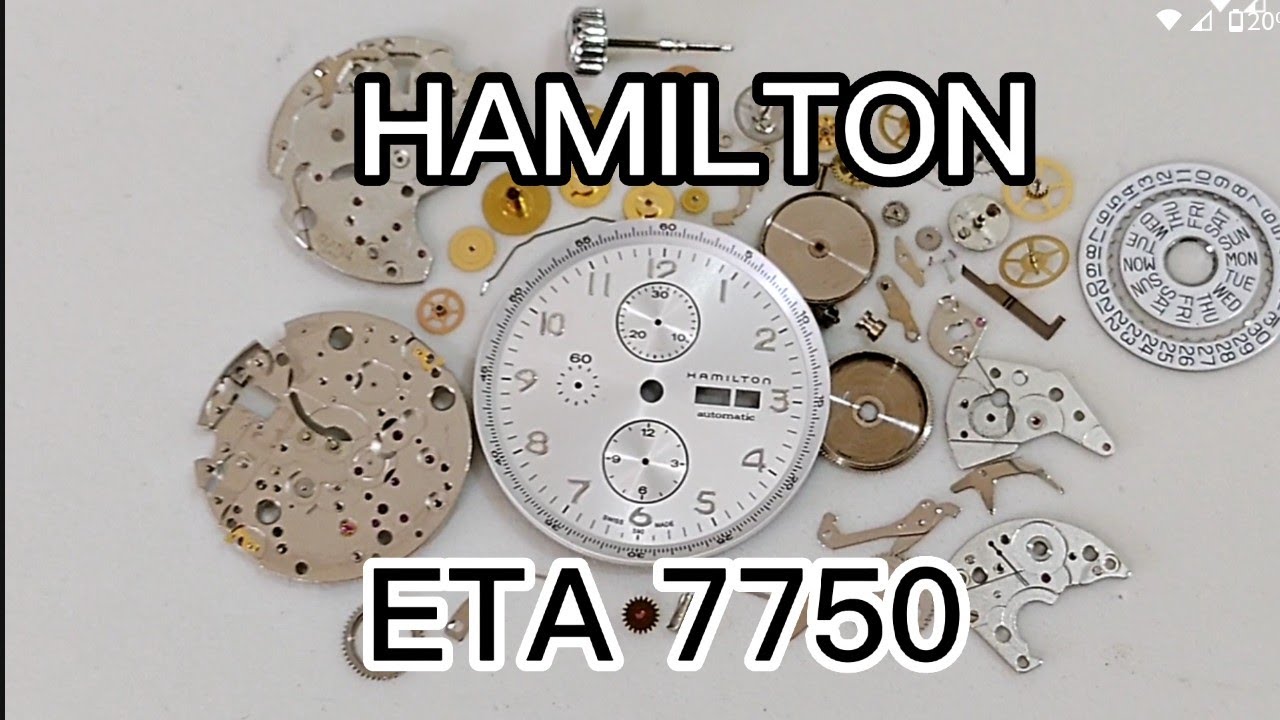 HAMILTON ETA 7750 PRA TODOS QUE GOSTAM CURTIREM MAIS ESSE CALIBRE ...