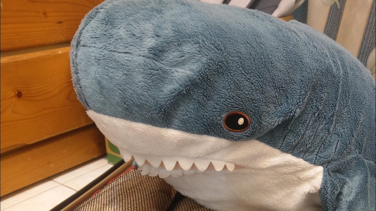 Blahaj drink water - YouTube