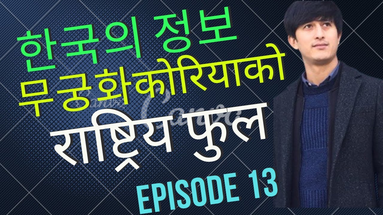 Korean National Flower, 무궁화, Korean Grammar, With Ronit Shrestha ...