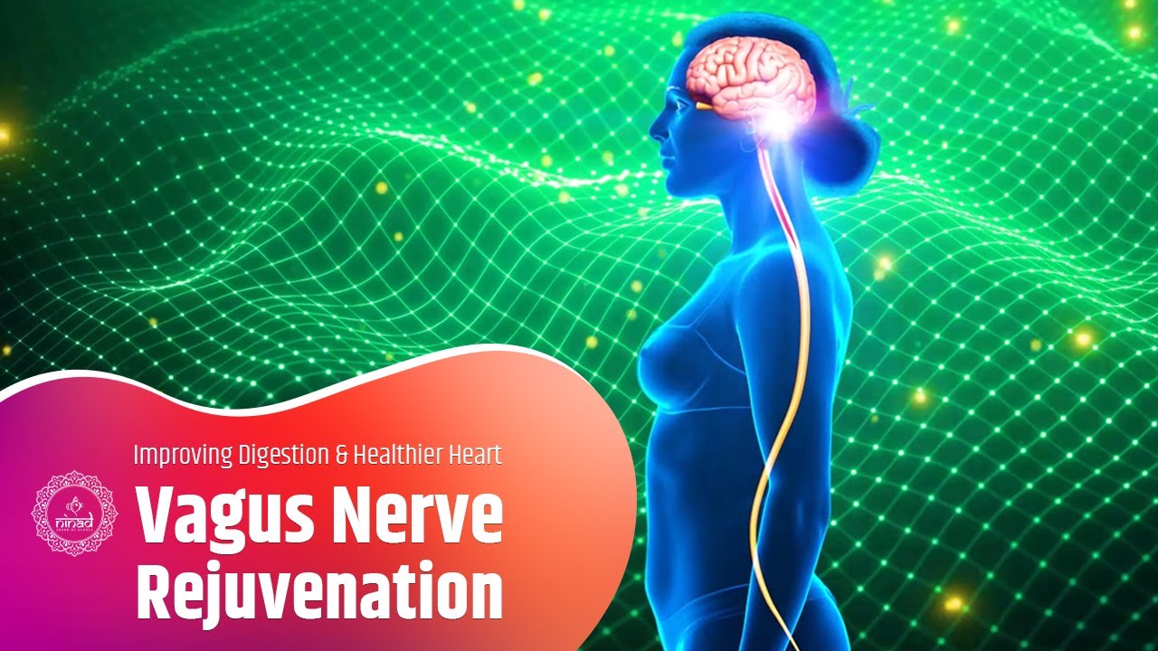 Vagus Nerve Rejuvenation: Soothing Frequency For Improving Digestion ...