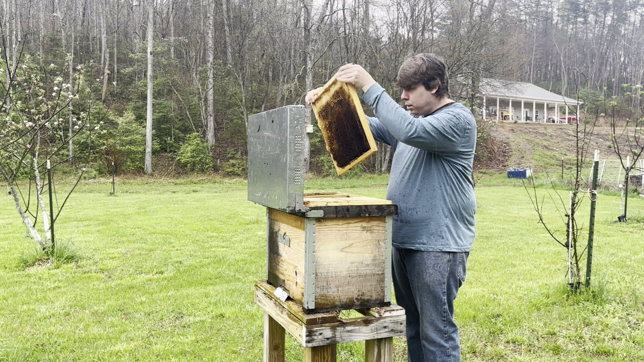 Practical Beekeeping with Minimal Interaction - YouTube