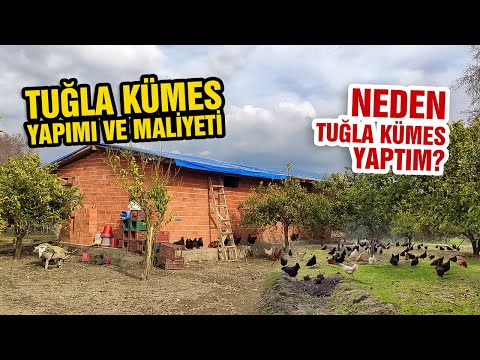 500 Tavukluk Tuğla Kümes Yapımı Ve Maliyeti | Neden Tuğla Kümes Yaptım?