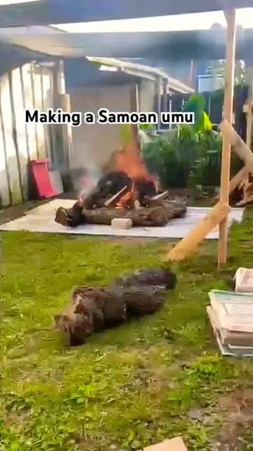 A Samoan traditional way of cooking #samoa #samoanfood #christmasday ...