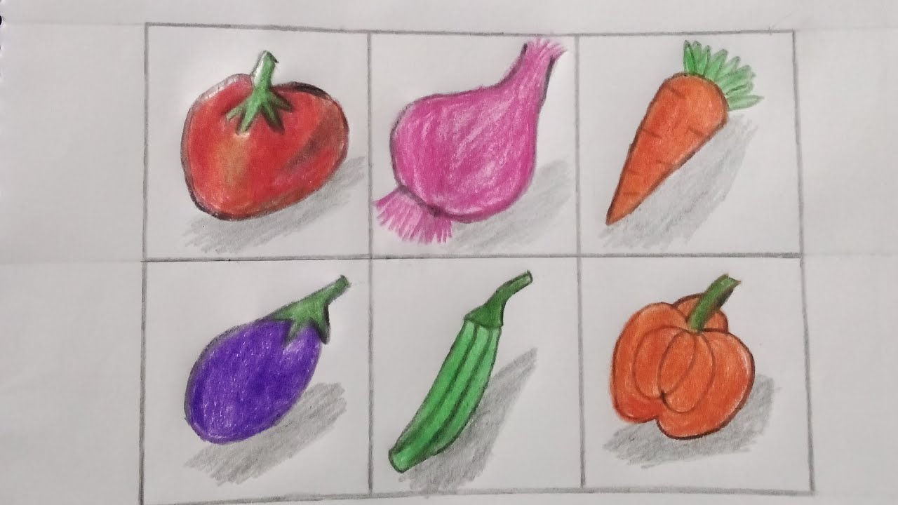 How to draw winter vegetables very easy drawing tutorial winter ...