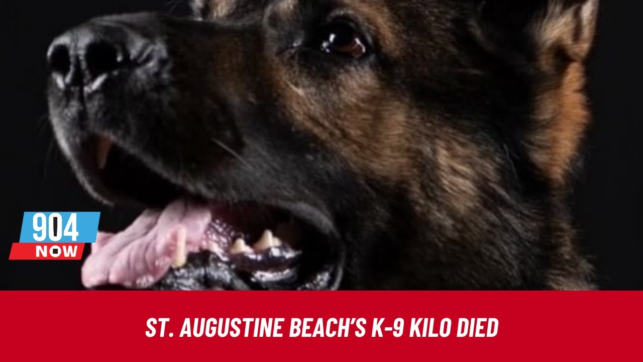SABPD's K-9 dog Kilo died unexpectedly | STOITM | March 11, 2024 - YouTube
