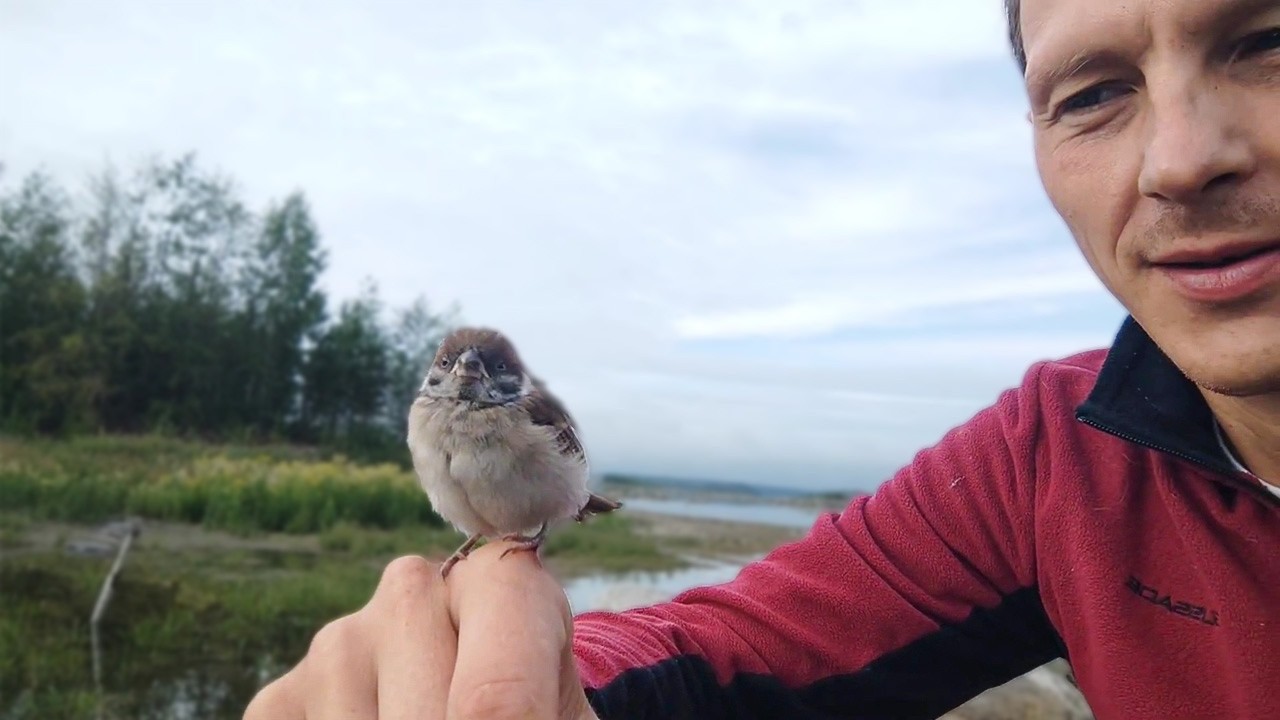 He Saved a Bird — She Saved His Marriage - YouTube