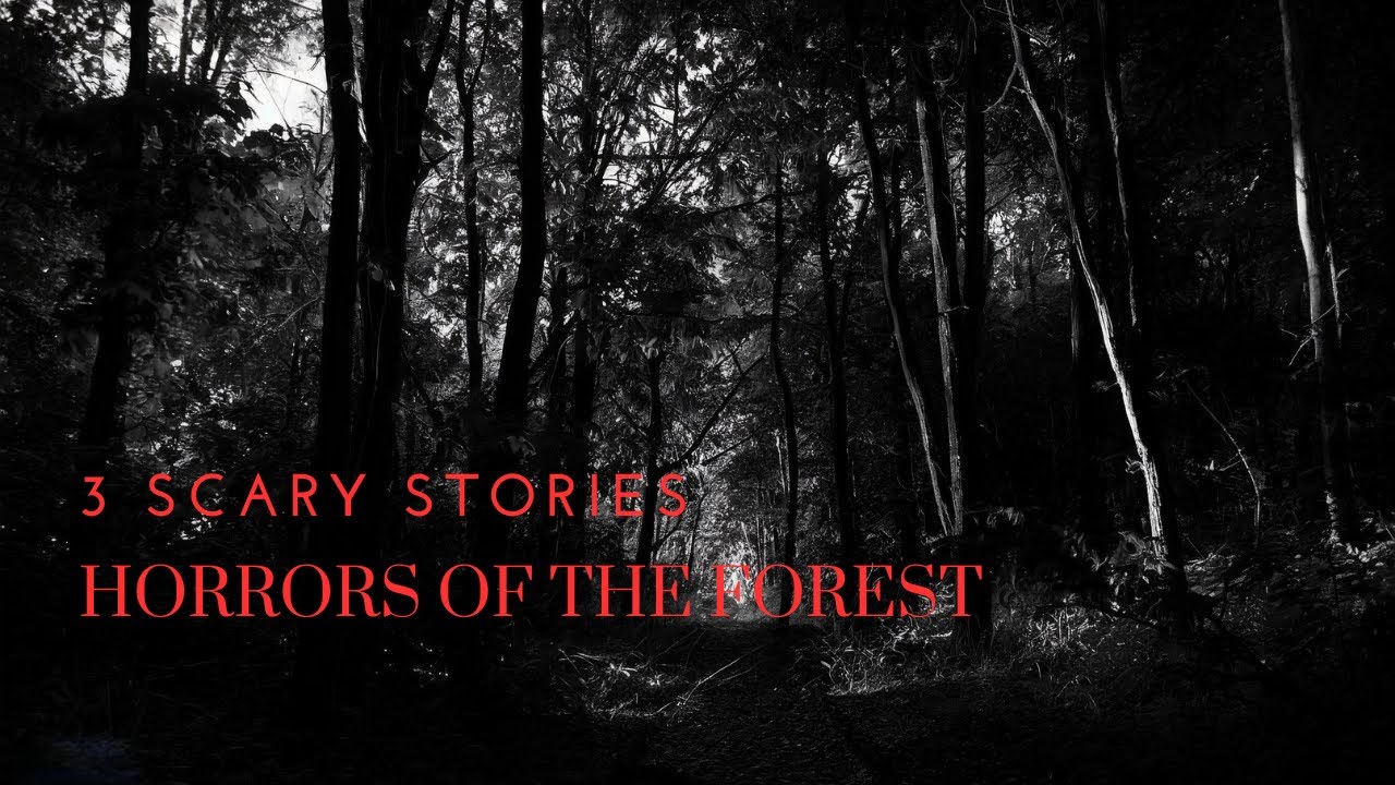 3 TRUE stores Horrors of the Forest - YouTube