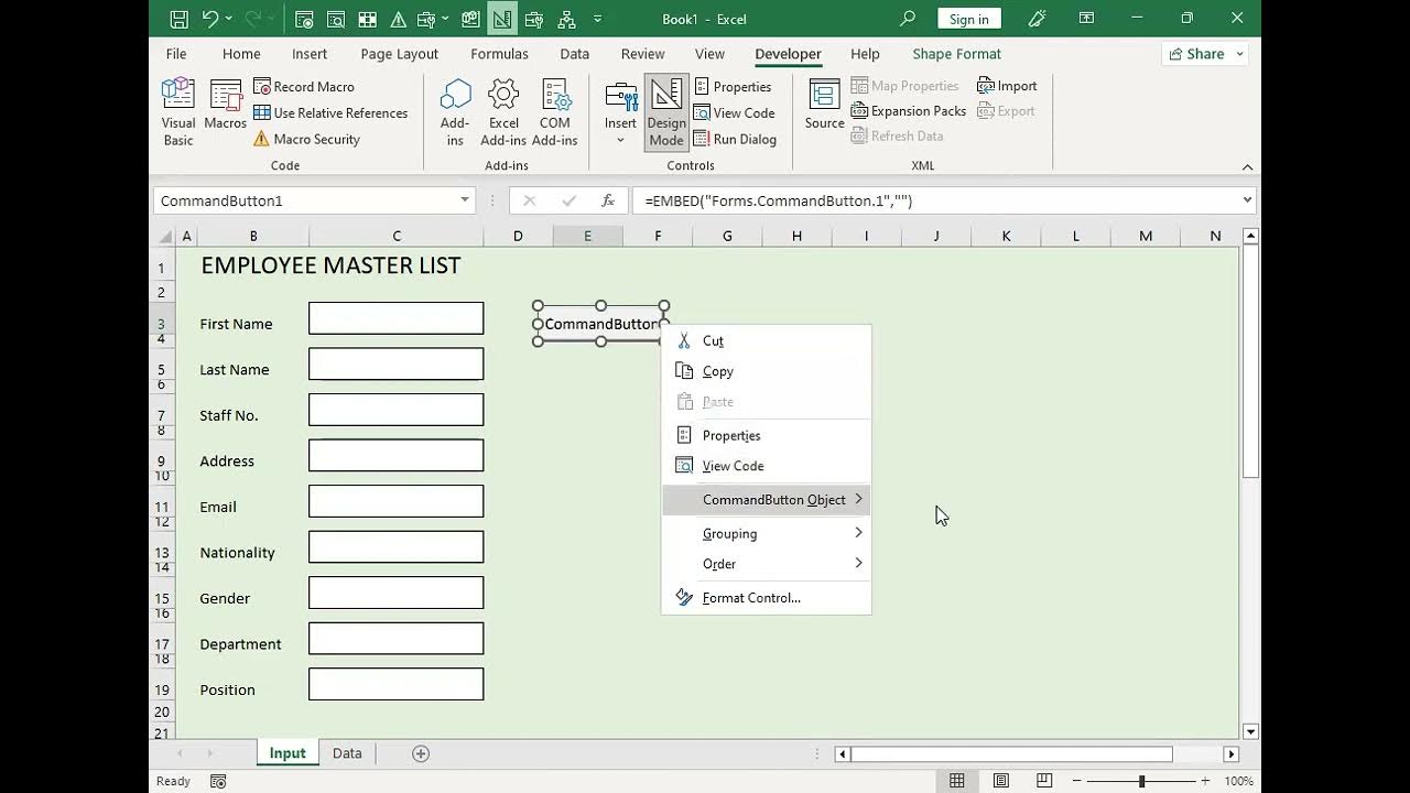 How to create a simple employee masterlist using VBA | entry & data | not userform - YouTube