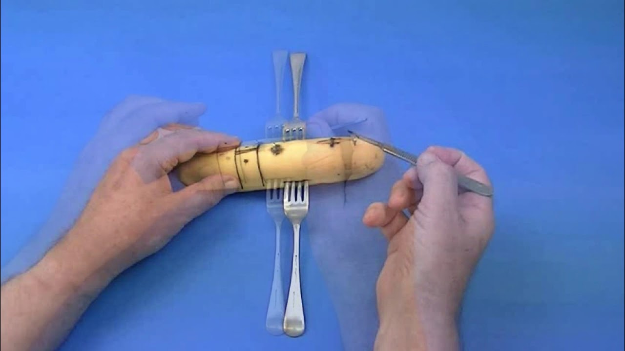 04 Session 4 Part 1 Suturing with String Slide 78 - YouTube