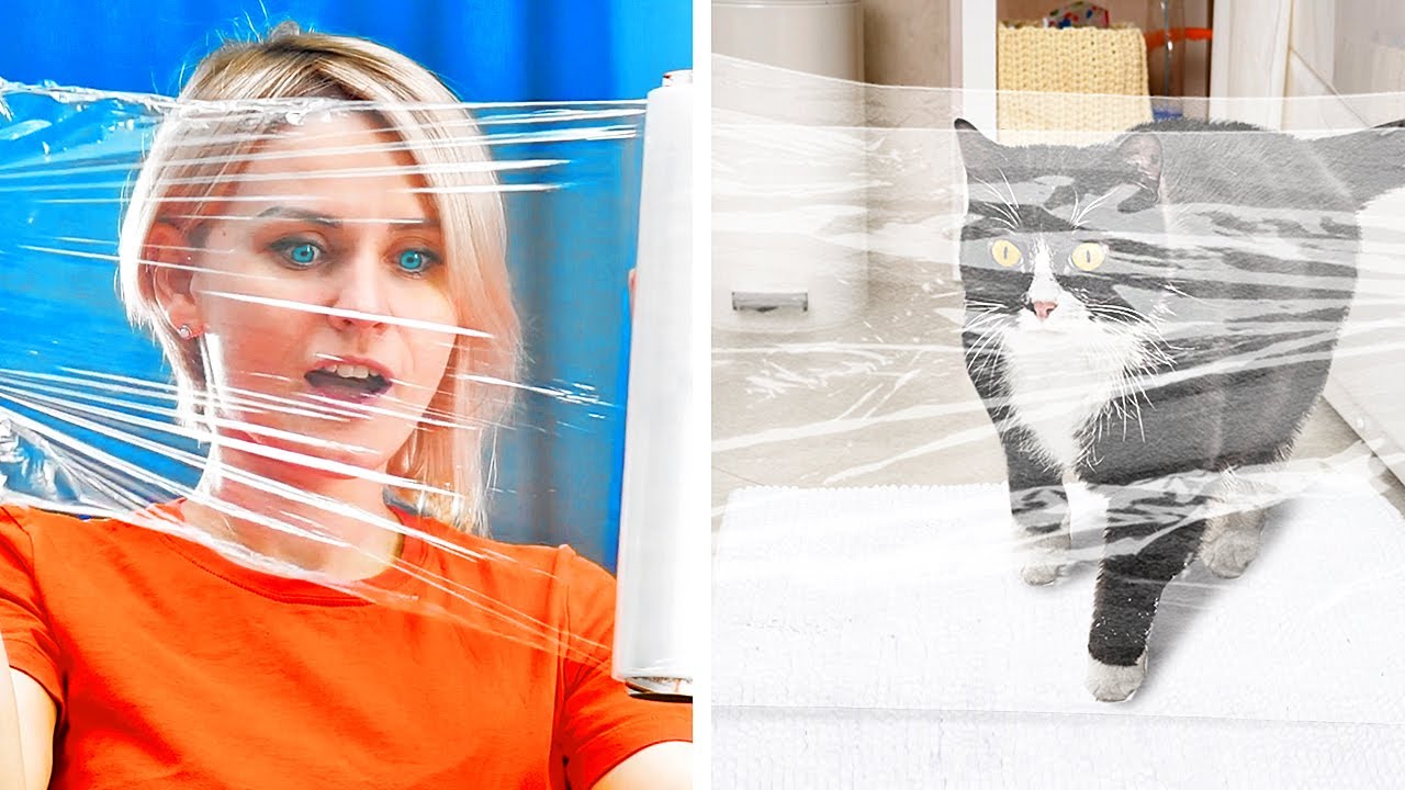 32 SMART AND FUNNY IDEAS FOR PET OWNERS - YouTube