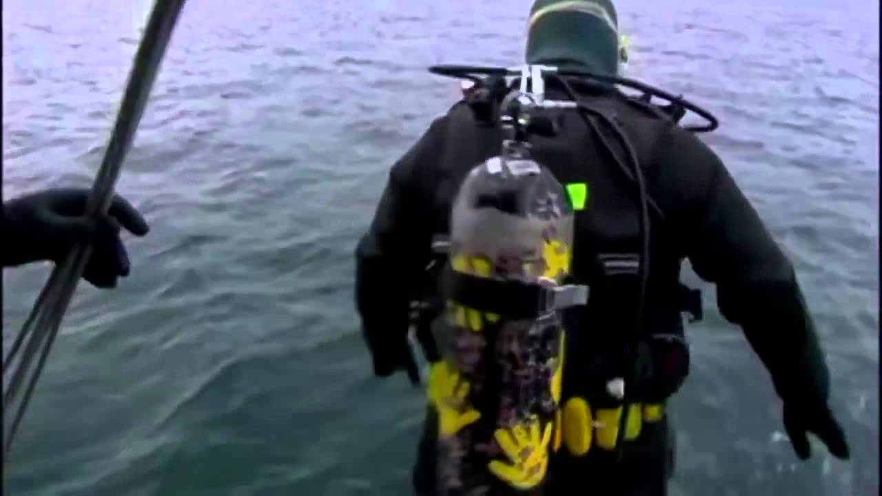 Creatures Of The Deep Ocean - Documentary - YouTube