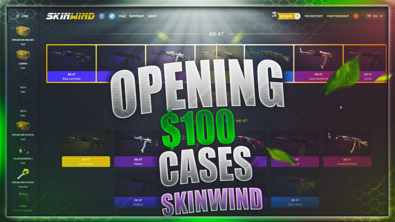 OPENING CASES $100 ON SKINWIND! - YouTube