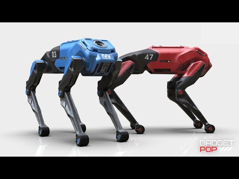 All Robot Dogs That Ever Invented - YouTube