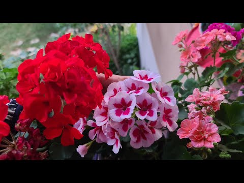 Yeni Sürprizlerle Bahçe Turu