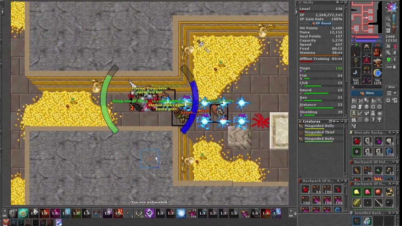 Venore 11 Misguided Bully + Misguided Thief - YouTube