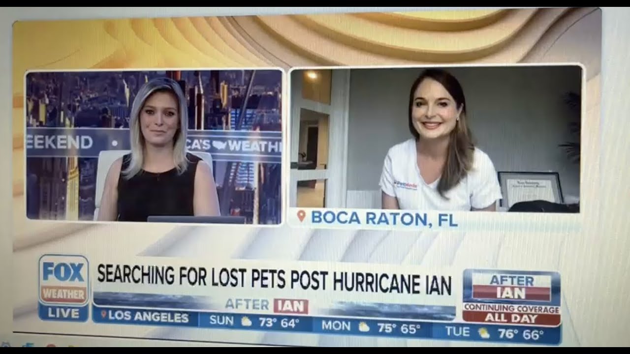 Fox News interviews Dr. Lindsay Butzer | Hurricane Ian and Lost Pets ...