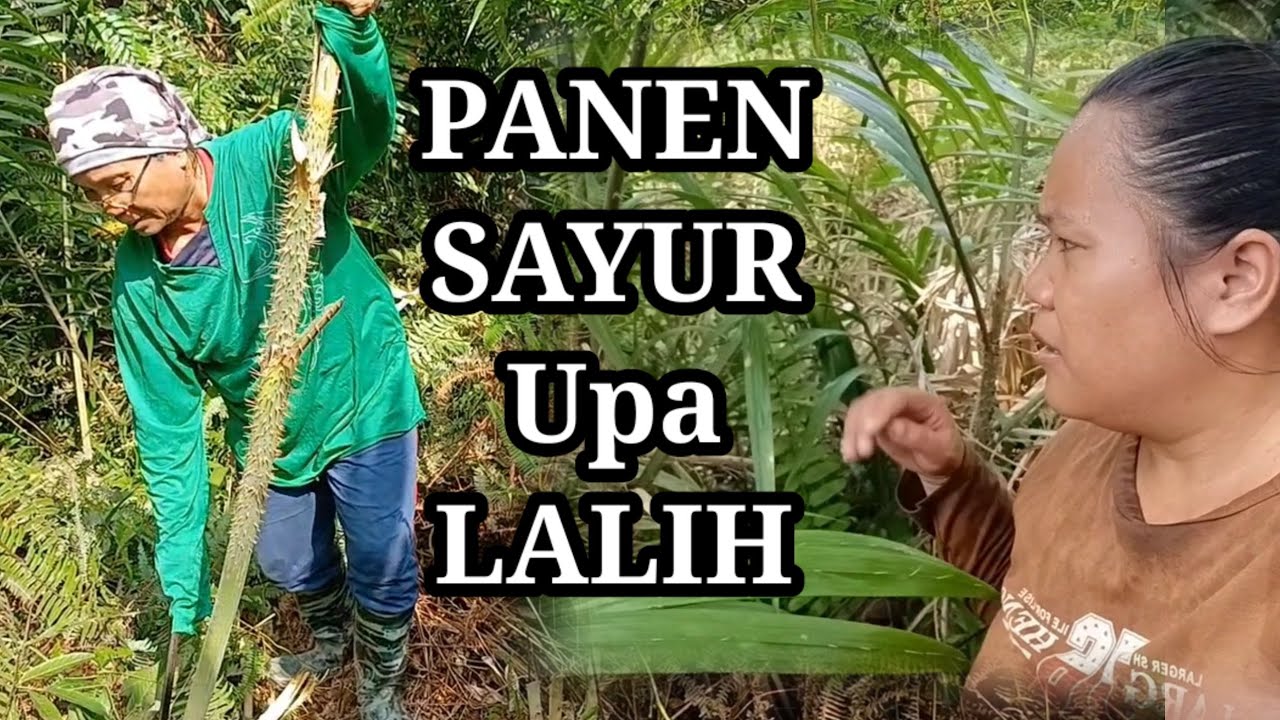 Ngupa Upa Lalih Bersama MAK JULAN di KEBUN BUAH #tontonsampehabis - YouTube