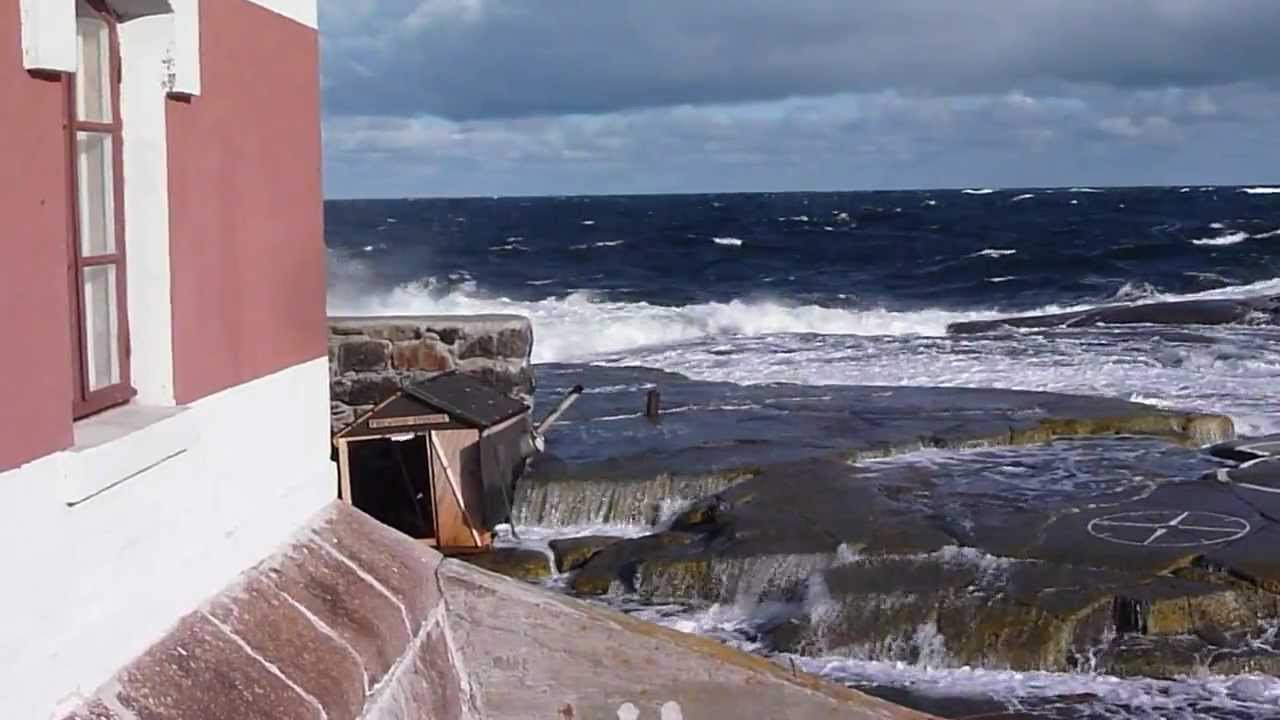 Market Reef (OJ0) - YouTube