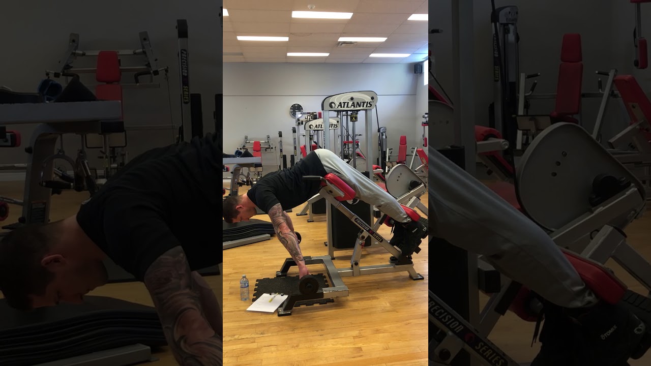 BB Hyperextension ( Barbell ) - YouTube