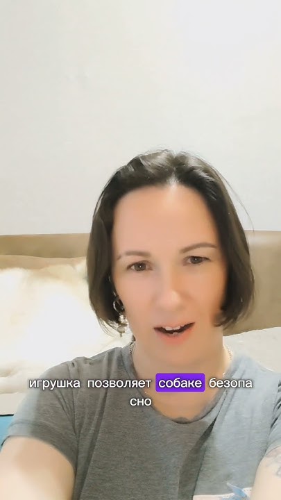 Наше собачье дело 🐩говорим про игрушки психология животные любовь