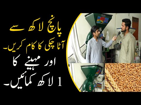 Atta Chakki Business in 5 lac | Flour Chakki Business in Pakistan | earn 1 lac per month