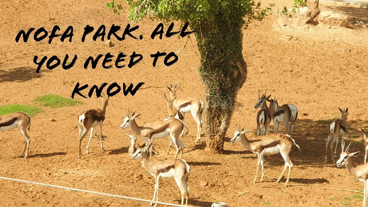 Nofa Wildlife Park| Riyadh Tourism|Places to Visit in Riyadh|Nofa ...