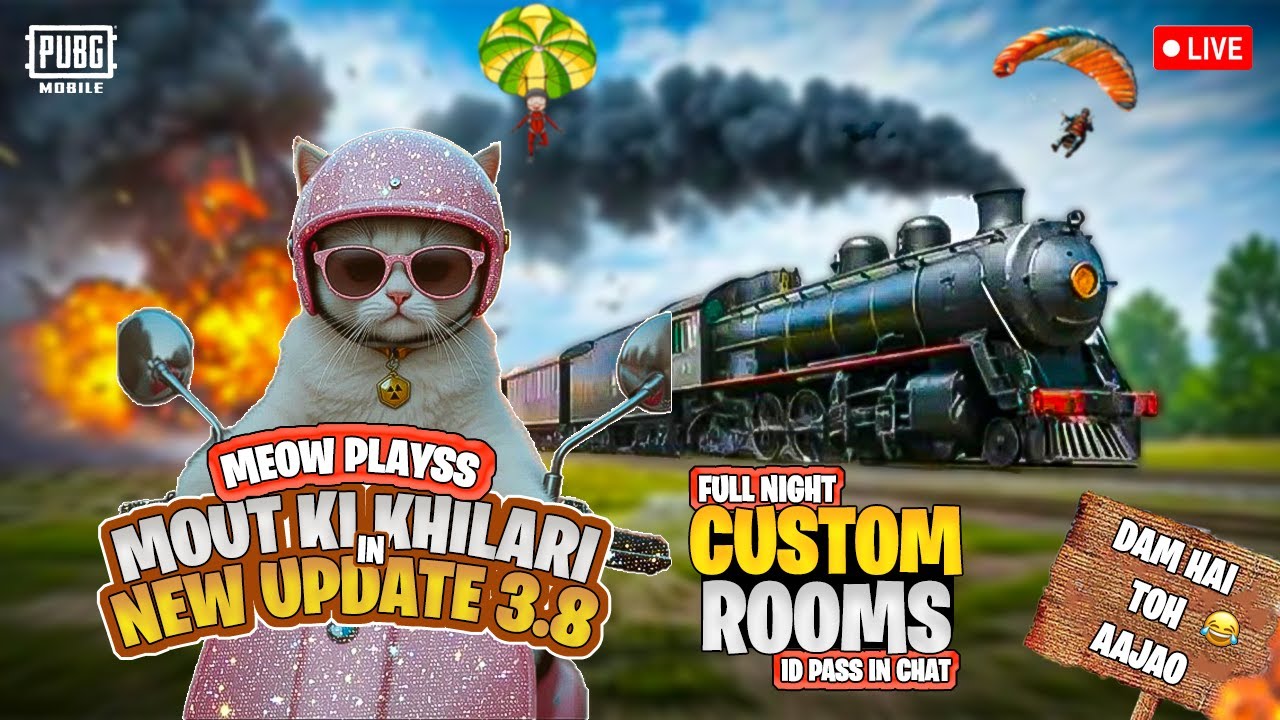 SERIOUS RANK PUSH And CUSTOM ROOMS WITH Meow playss - YouTube