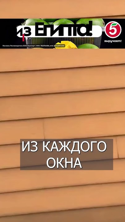 Собака НАБЛЮДАКА следит за всеми - YouTube