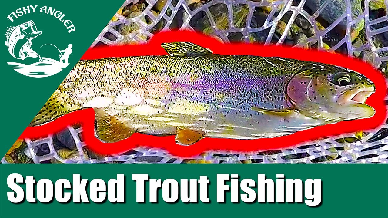 Trout Fishing White Clay Creek Delaware (May 2019) - YouTube