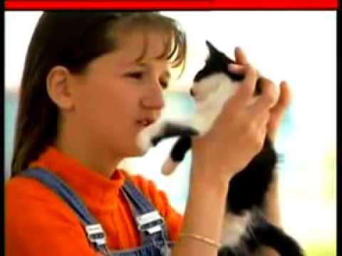 Yollar Biter mi Gaye aksu