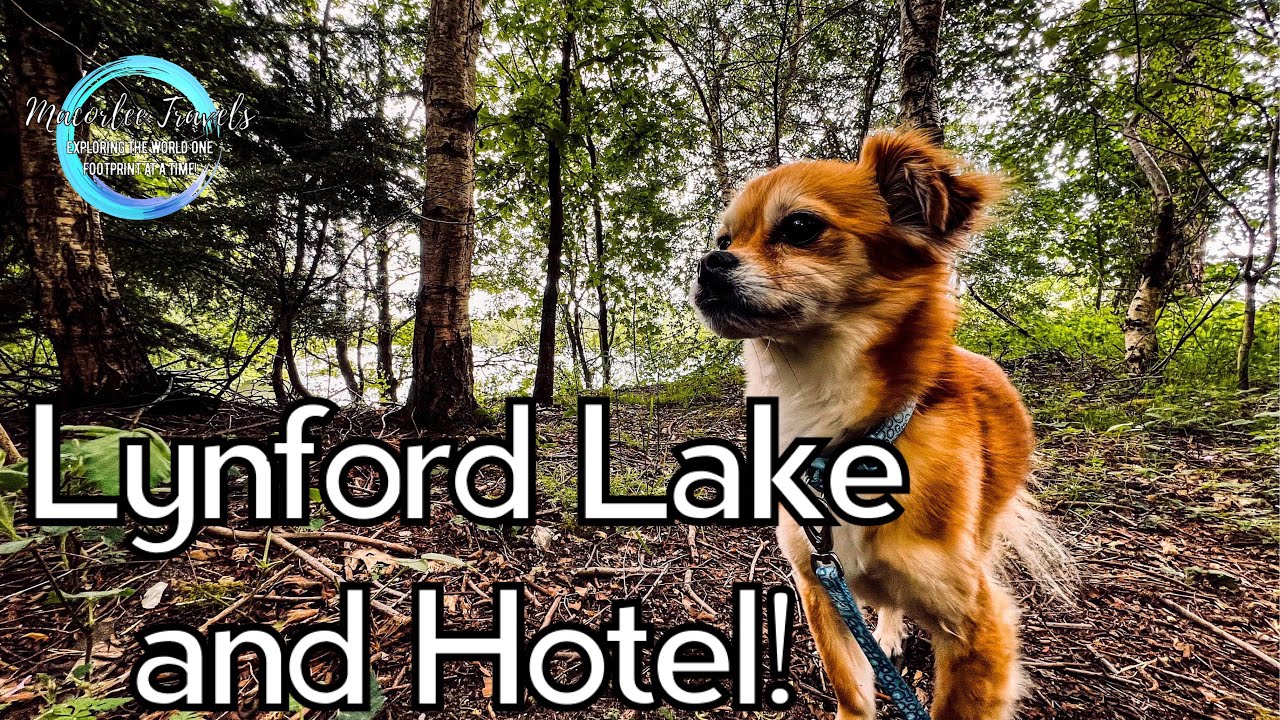 Stunning walk round Lynford Lake and then the beautiful gardens and ...