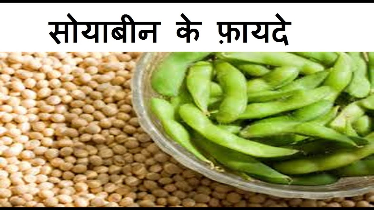  Health Benefits Of Soya Bean In Hindi Soyabean For