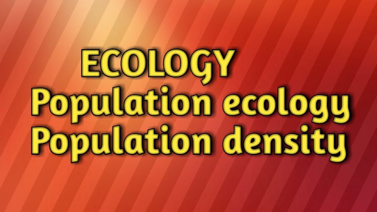 ECOLOGY - population ecology,population density - YouTube