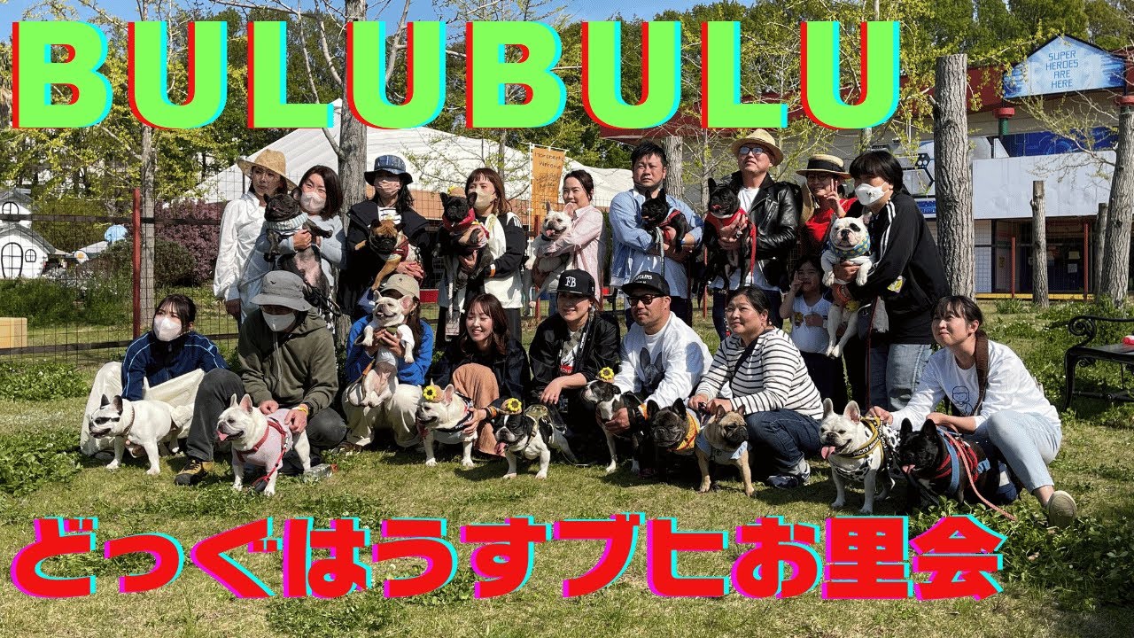 【bulubulu行ったよ】どっぐはうすブヒお里会！あものお里！！ - YouTube