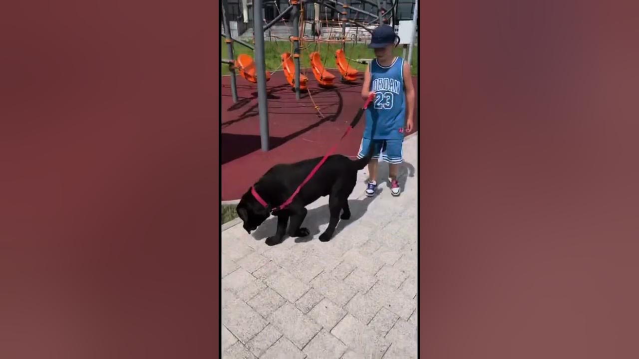 Бербрикс - YouTube