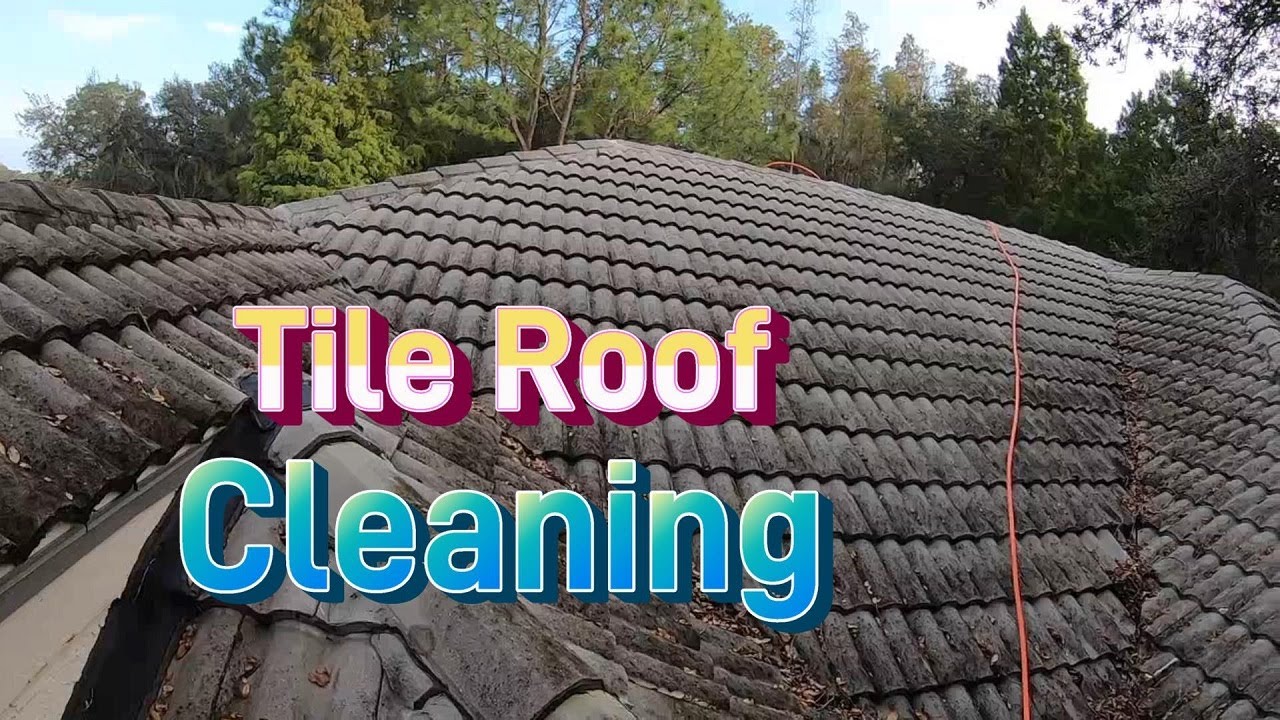 Tile Roof Soft Wash using 12volt pump - YouTube