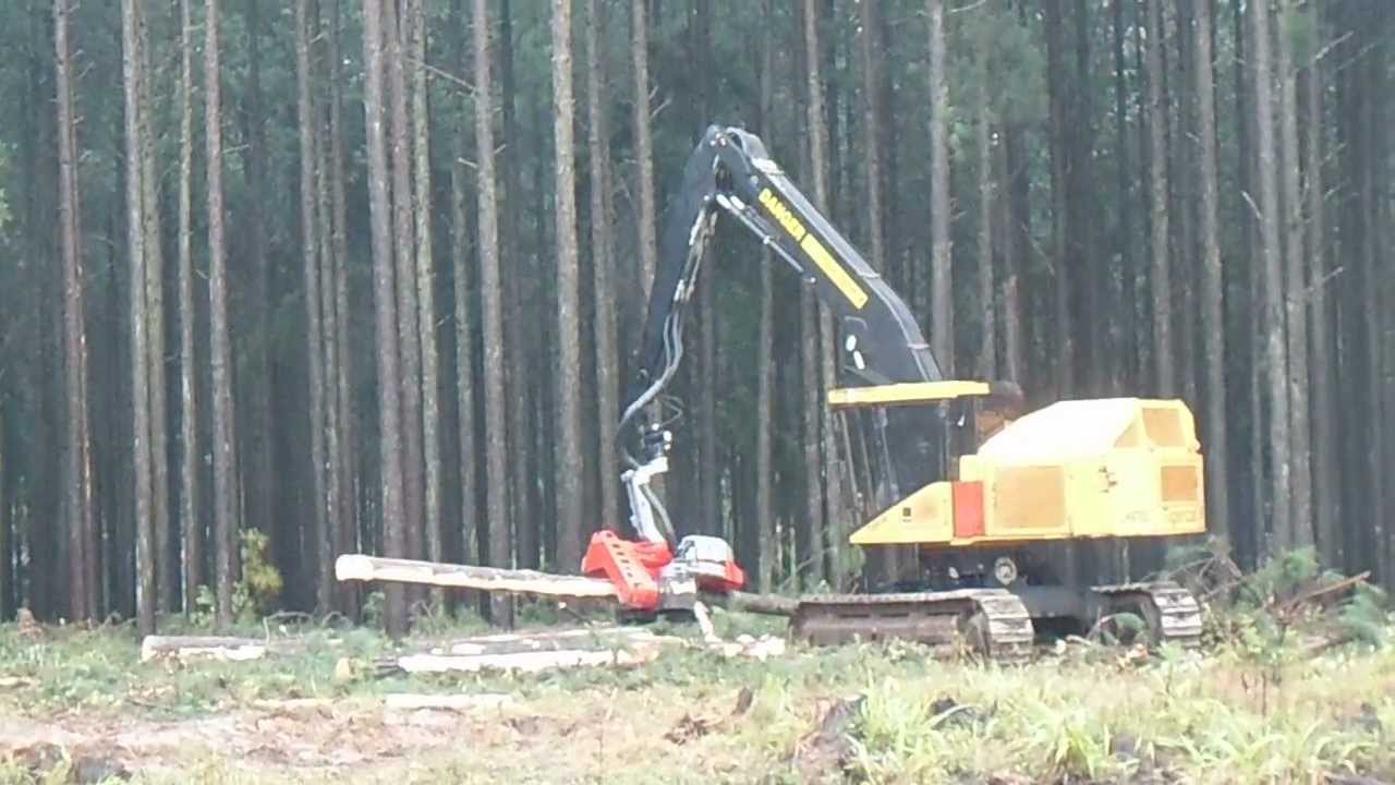 Harvesting pine sawtimber with Tigercat LH830C tracked harvester and ...