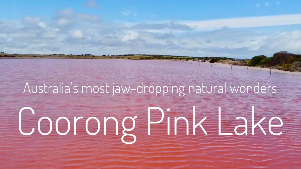 Exceptional bubblegum pink salt lake | Coorong Pink Lake - SA - YouTube