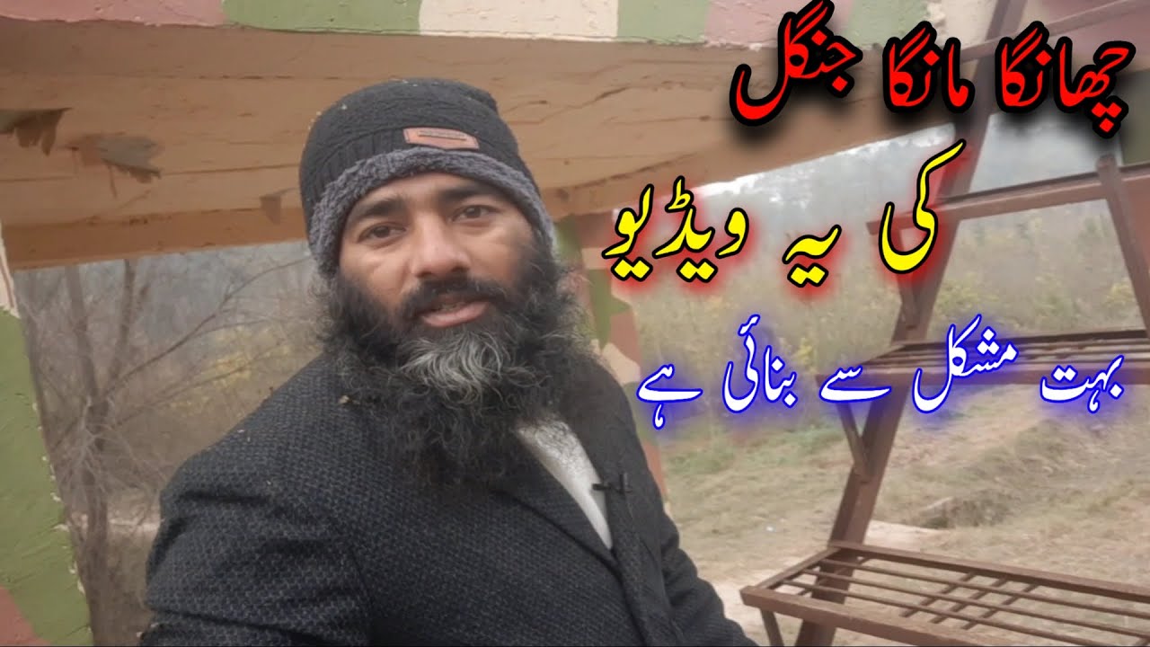 This video of Changa Manga forest is very difficult to make |چھانگا ...