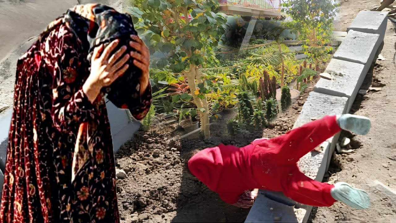 Nomadic Mother's Legacy: Revitalizing Home through Tree Planting ...